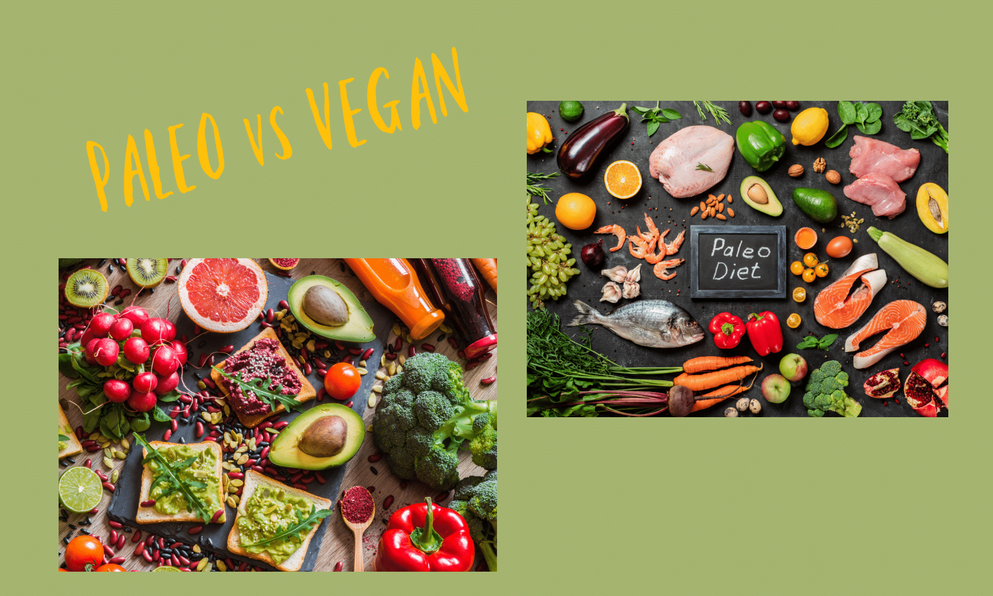 Revisiting The Paleo Diet: New Study Reveals Plant-Based Eating In ...